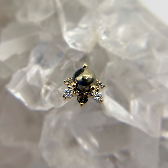 Body Piercing Seattle, WA | Professional Piercing Studio – Best Studio Ever